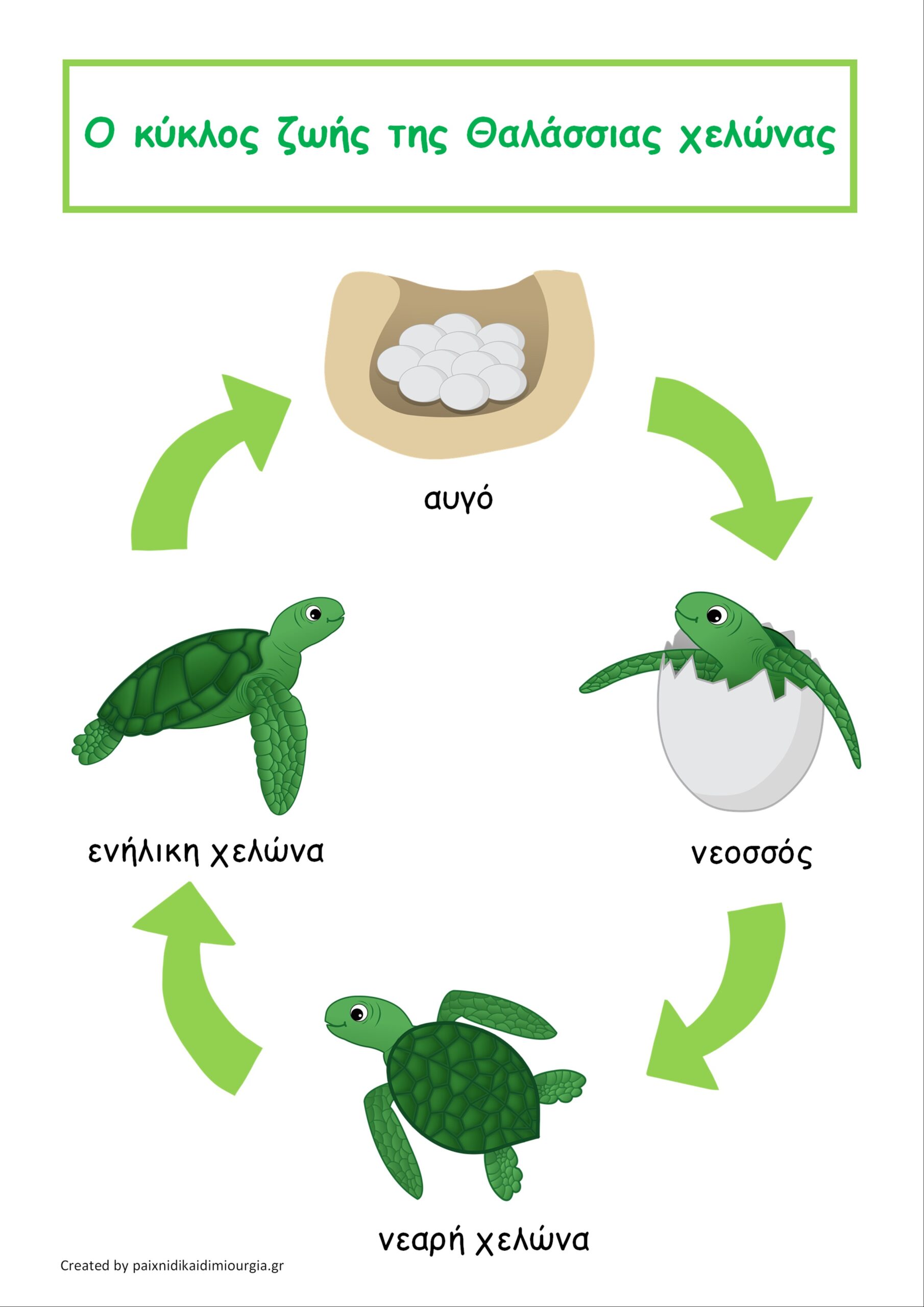 Εκτυπώσιμα αρχεία προς πώληση - Κύκλοι ζωής - Παιχνίδι και Δημιουργία