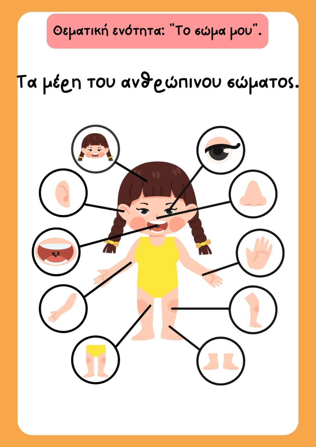 Θεματική ενότητα "Μαθαίνω το σώμα μου" για το Νηπιαγωγείο.